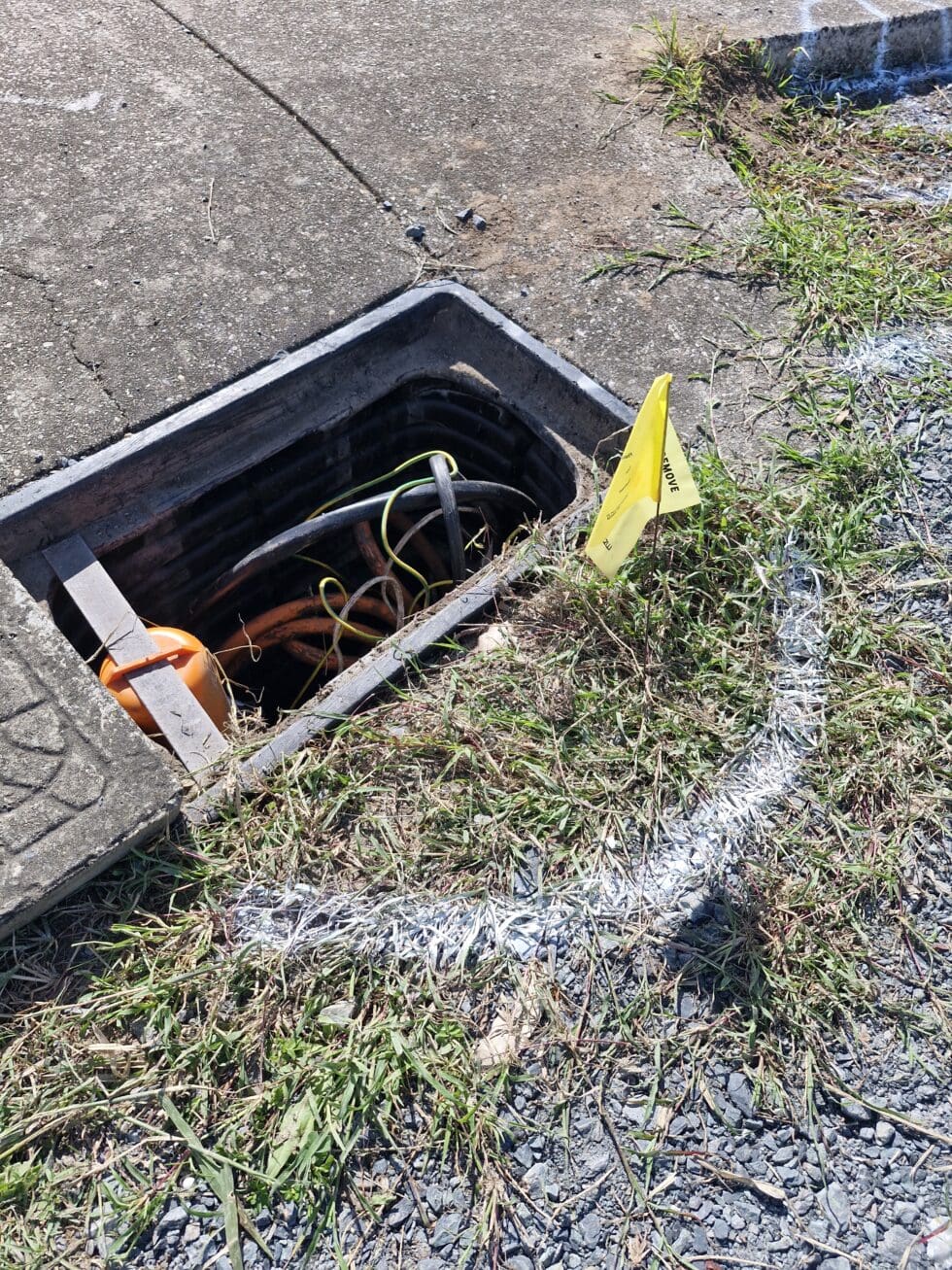 Fire Ant Damage to Electrical Infrastructure in Redlands, Brisbane ...